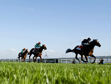 Horse Racing: Pick a value bet at Royal Ascot | Betting @ Betfair