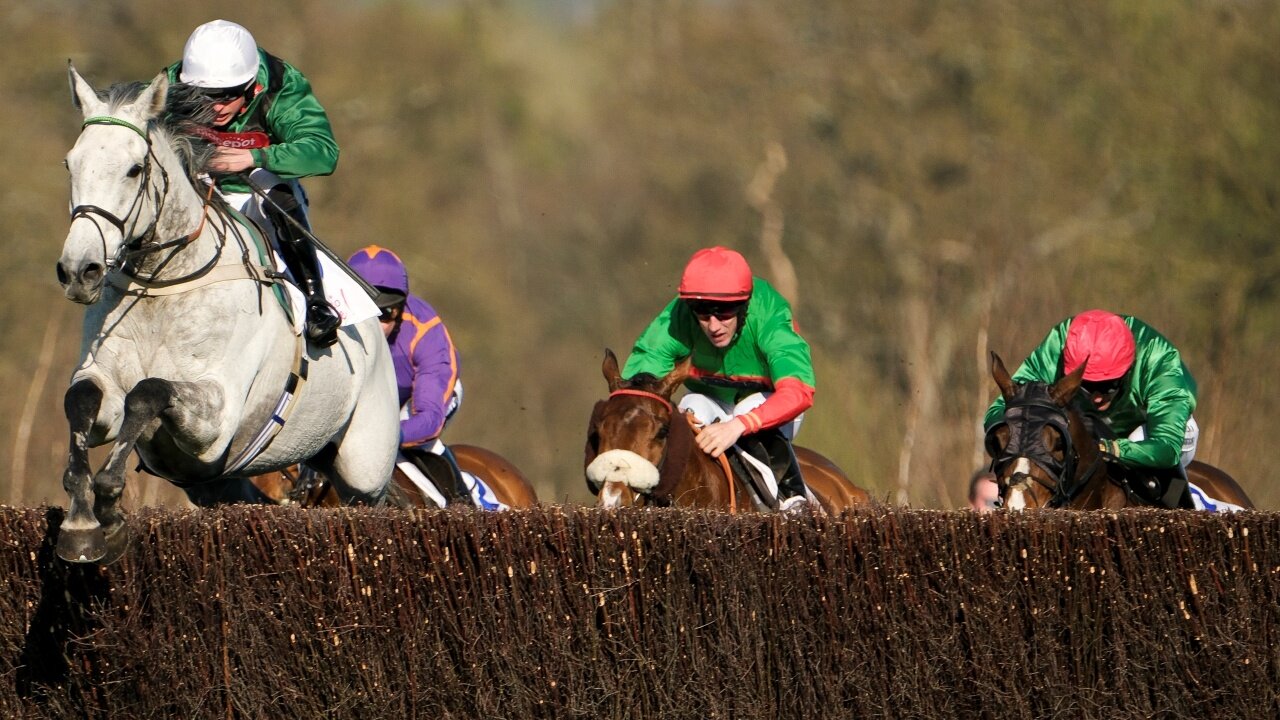 Sodexo Live! Gold Cup Big Race Verdict: Henry to be our friend for ...