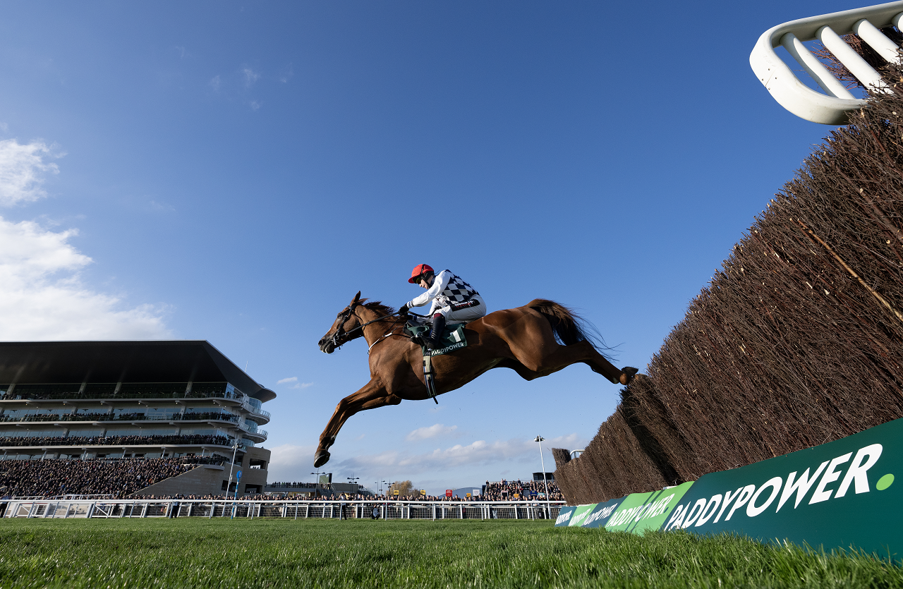Cheltenham Paddy Power Gold Cup Big Race Verdict: Vincenzo to rule for ...