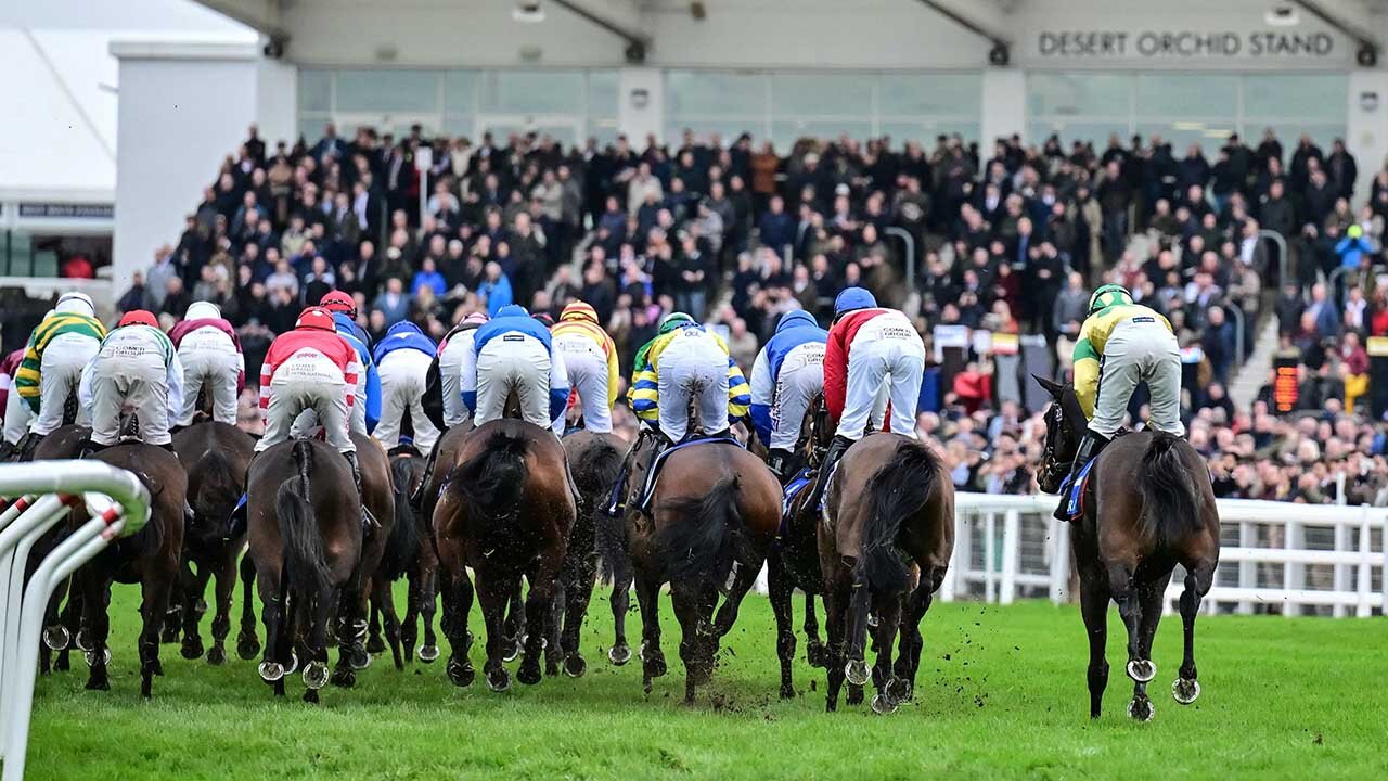 Friday Horse Racing Tips: Three to back at Cheltenham
