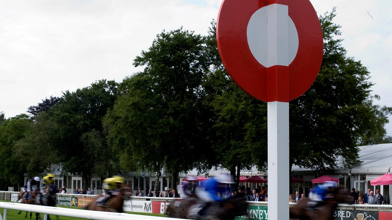Dewhurst Stakes Big Race Verdict: Gstaad on for revenge and Saba to improve