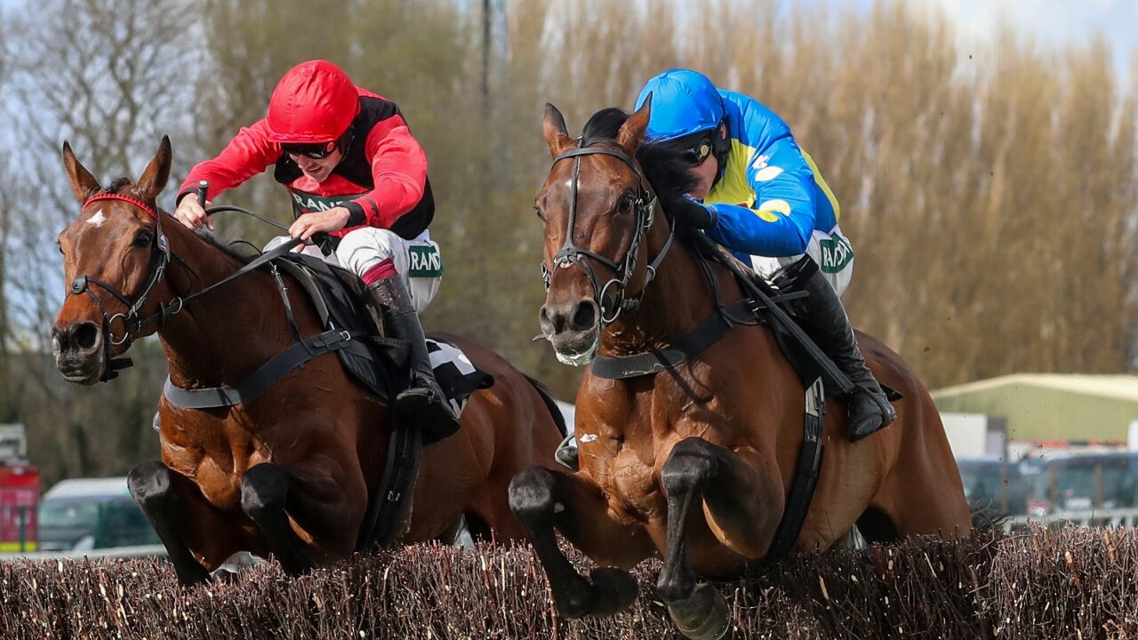 Saturday horse racing tips