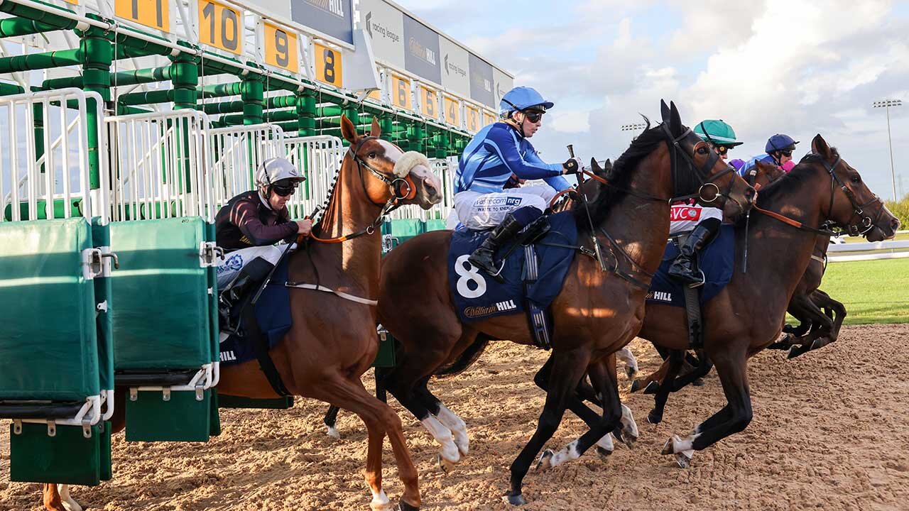 Sunday Horse Racing Tips: Ryan sprinter to run like the wind in ...