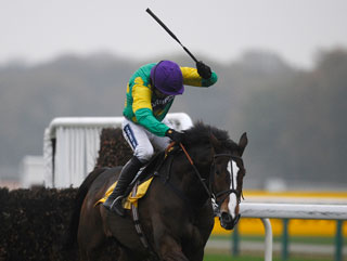 Kauto Star is the best steeplechaser since Arkle, believes Haydock Park ...